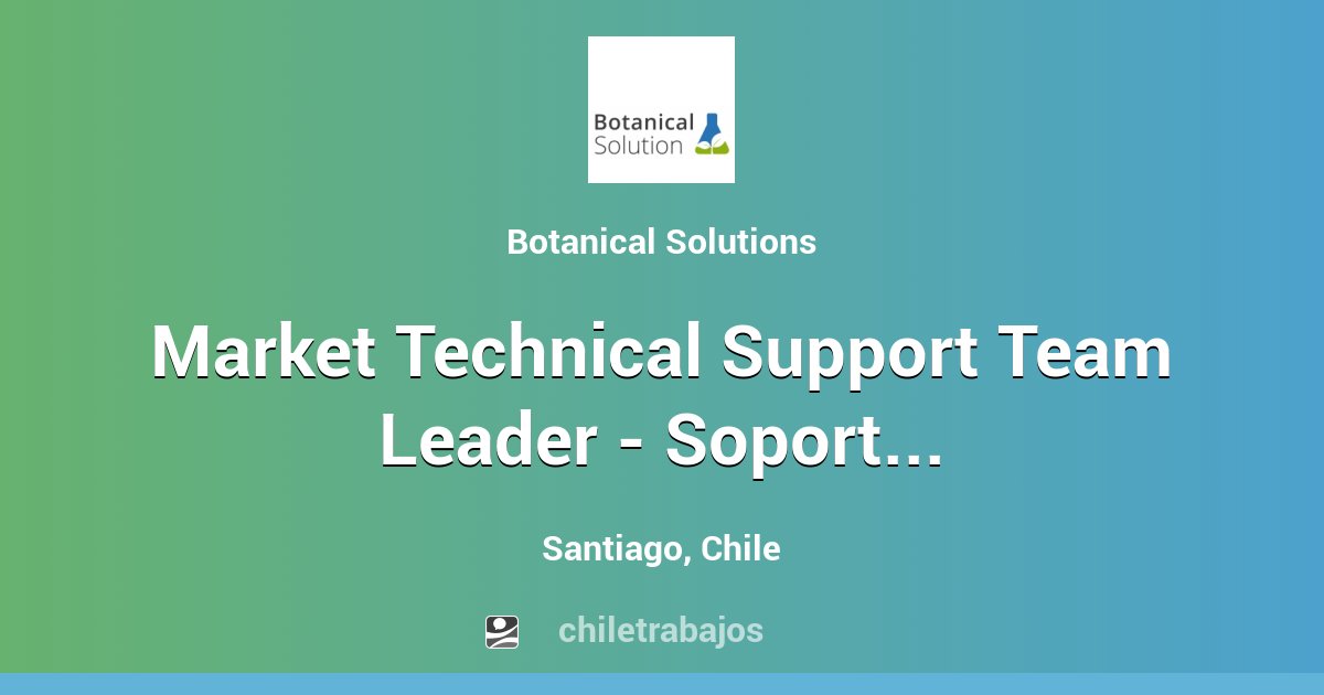 Market Technical Support Team Leader Soporte Técnico Y Comercial