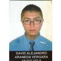 David Alejandro Araneda Vergara | Perfil profesional